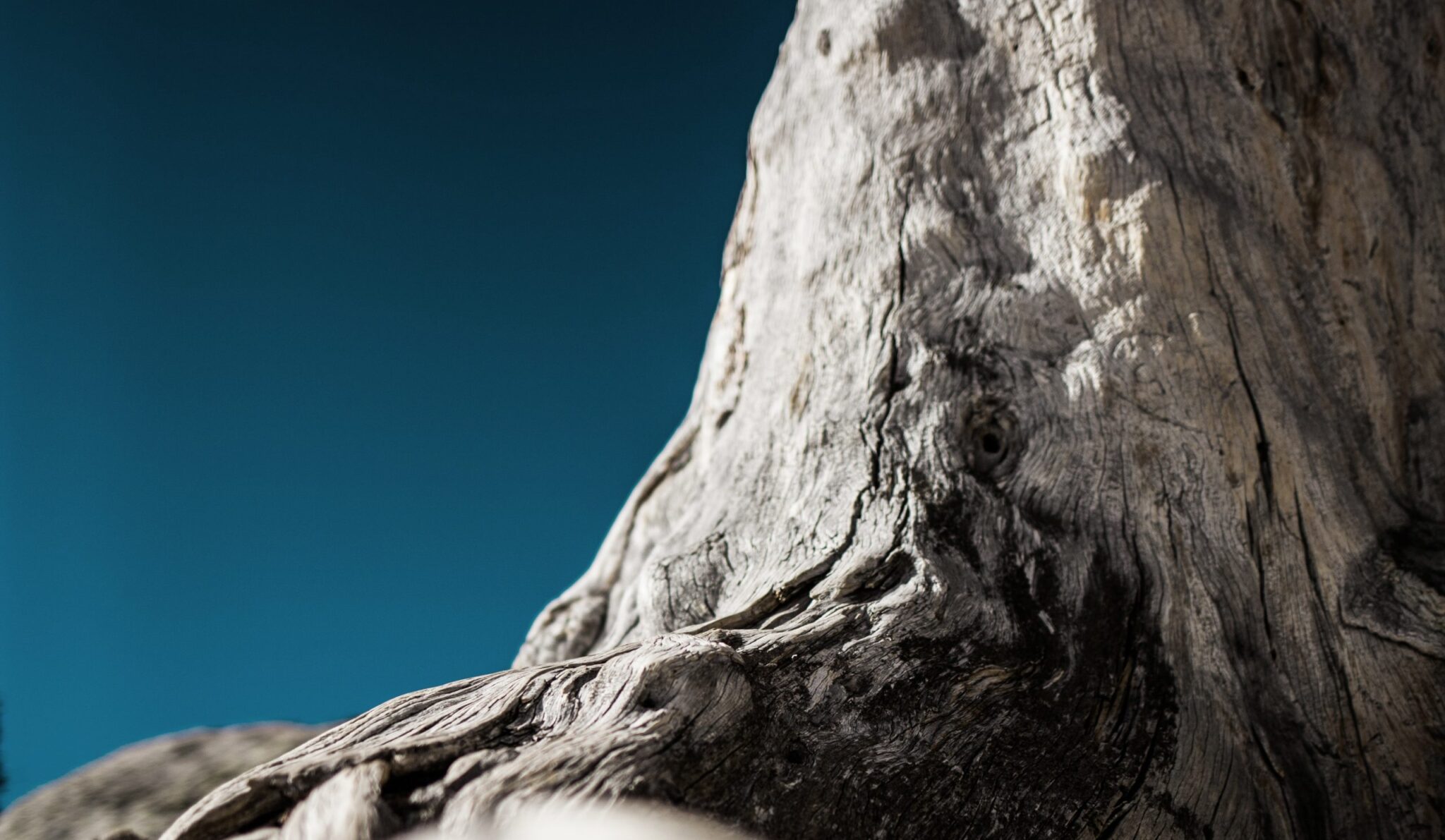 DECOMPLEX – FUTURE-PROOF YOUR FAMILY ENTERPRISE